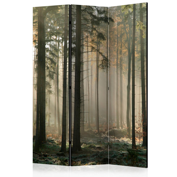 East Urban Home Room Divider - Foggy November Morning [Room Dividers ...